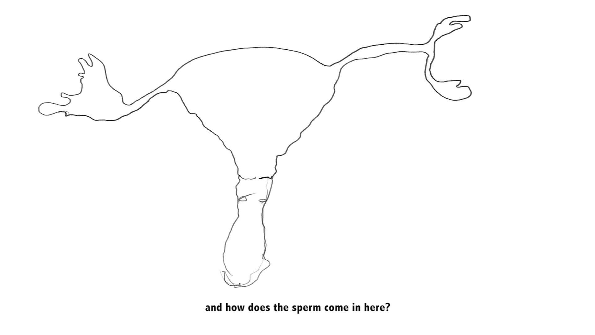 Female Anatomy - Lab4Living | Design for Health & Wellbeing | Sheffield ...