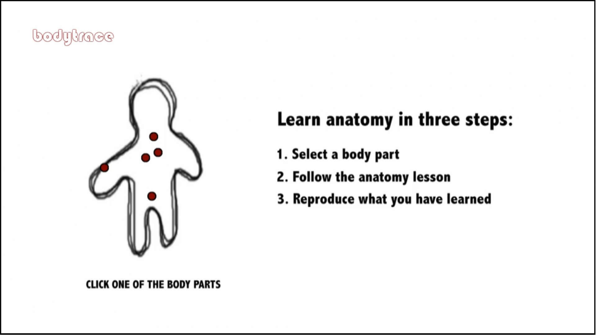 Female Anatomy - Lab4Living | Design for Health & Wellbeing | Sheffield ...