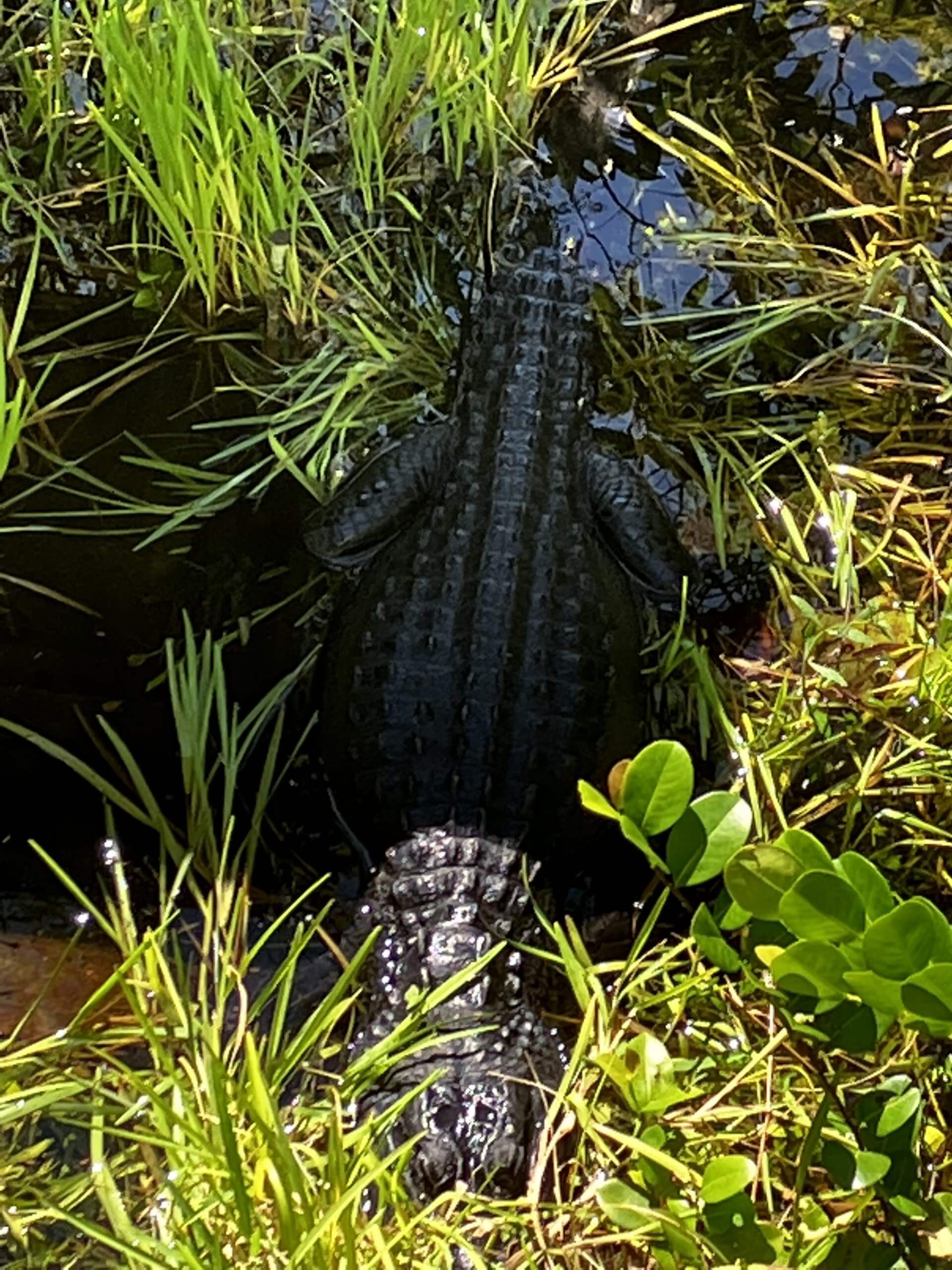 Researcher Blog: Dr Joe Langley at Miami Transforming Evidence event ...