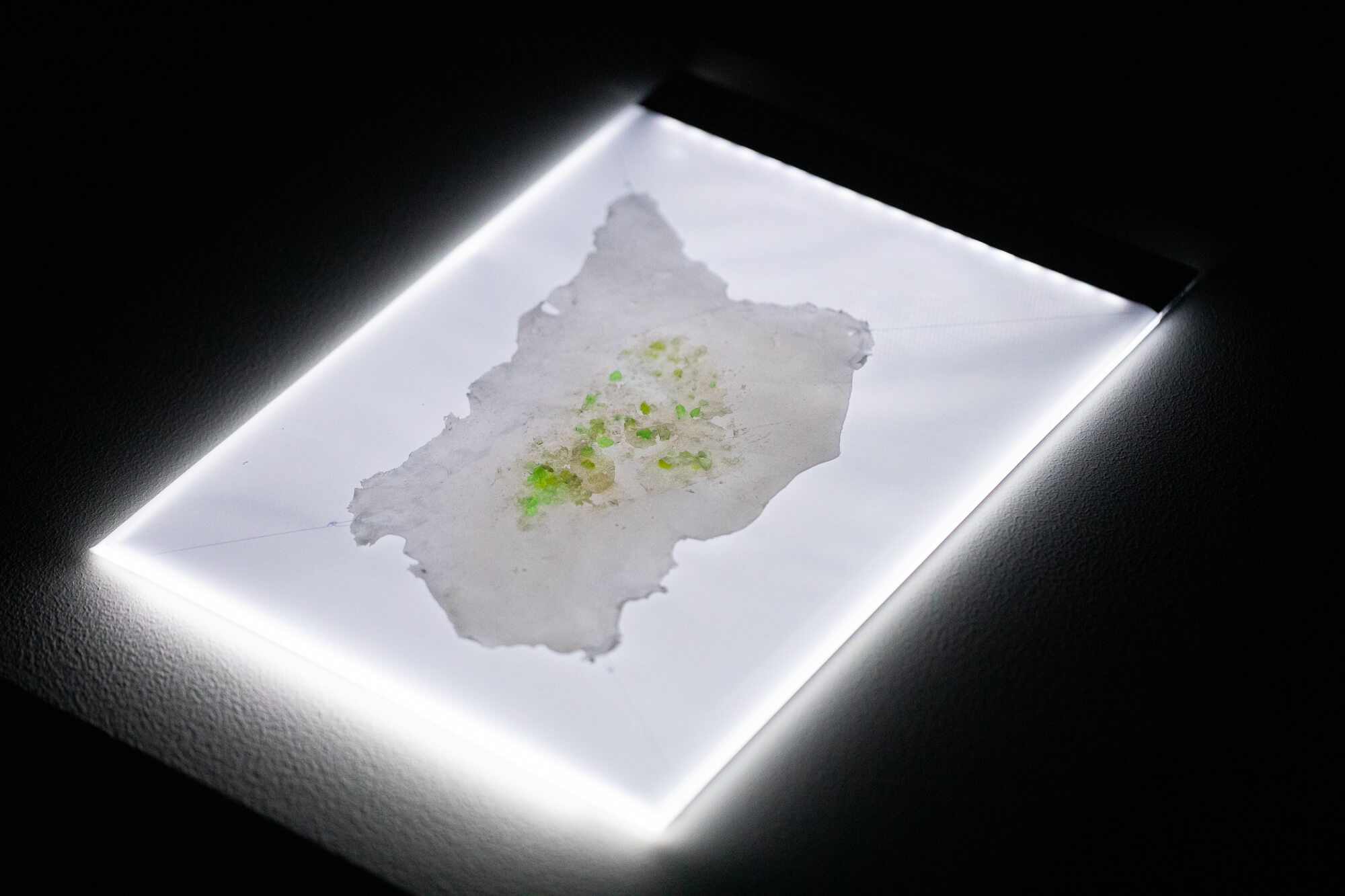 Mythical Living Data: an inquiry into the future of DNA as data storage - Lab4Living | Design ...