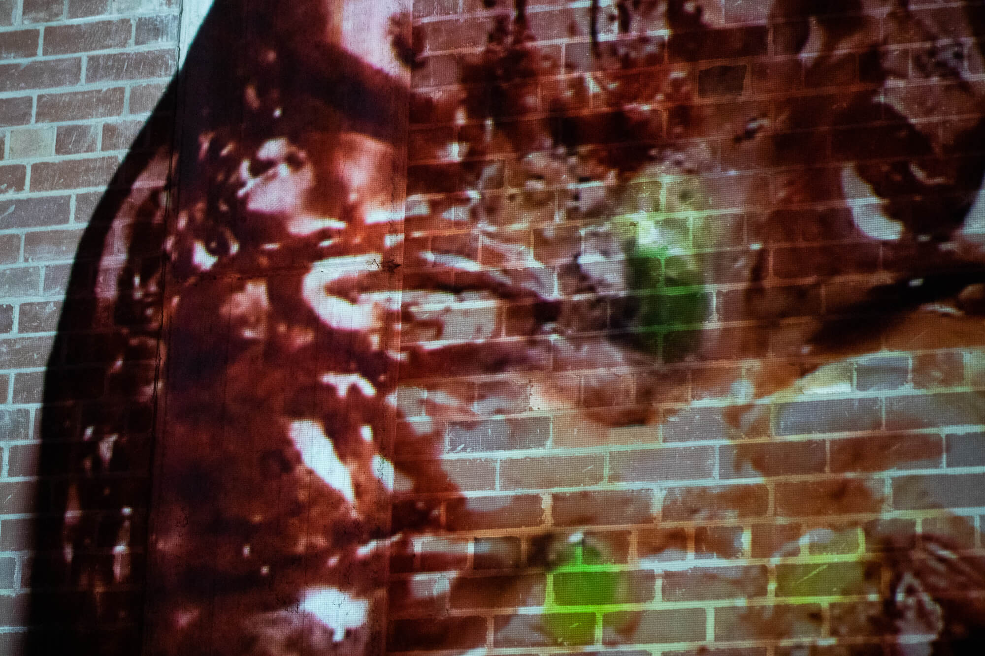 Mythical Living Data: an inquiry into the future of DNA as data storage ...