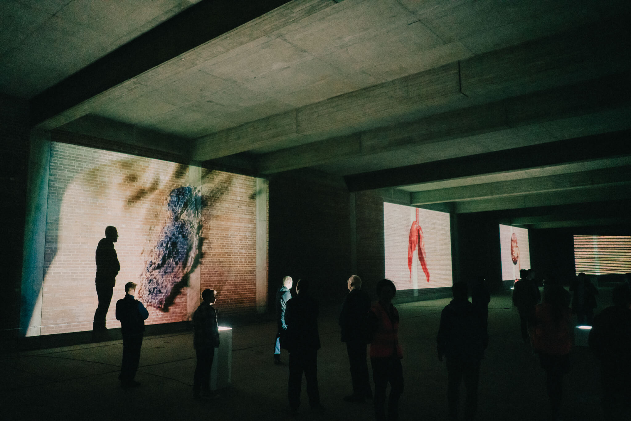 Mythical Living Data: an inquiry into the future of DNA as data storage ...